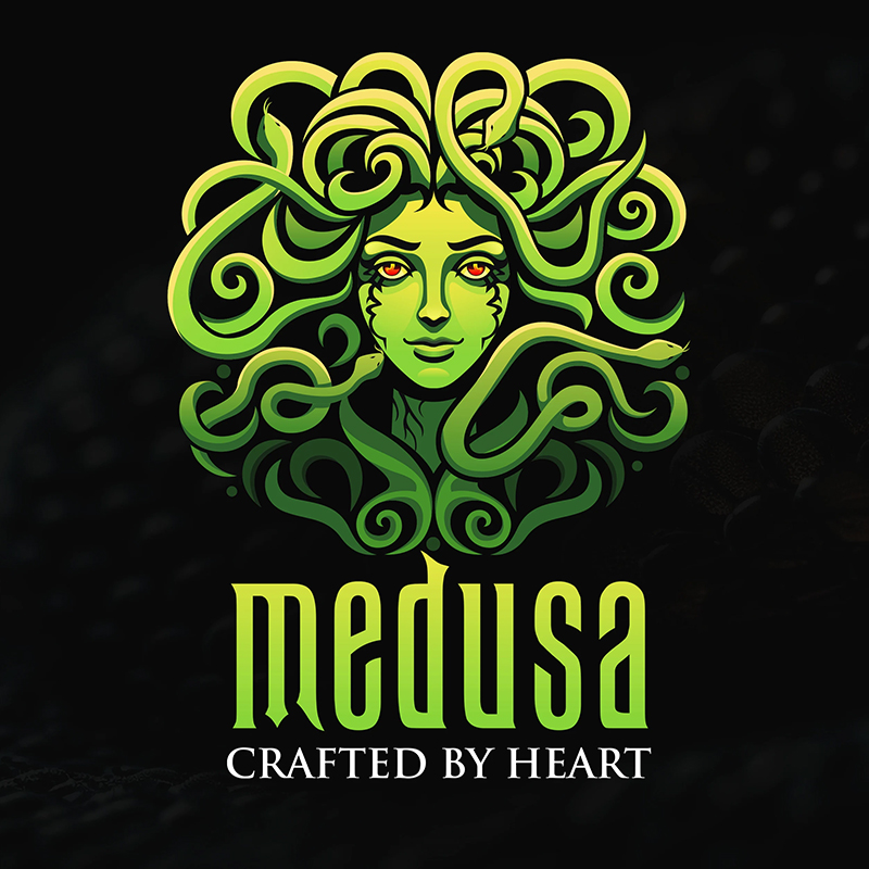 Medusa Crafted by Heart - Classy Logos | Logo Design and Brand Identity ...